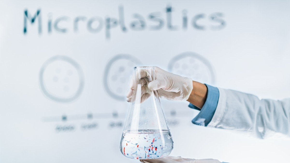 The Potential Long-Term Effects of Consuming Microplastics